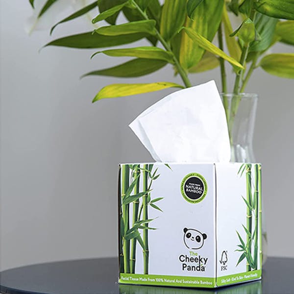 Cheeky Panda Bamboo Facial Tissues | EcoCentric