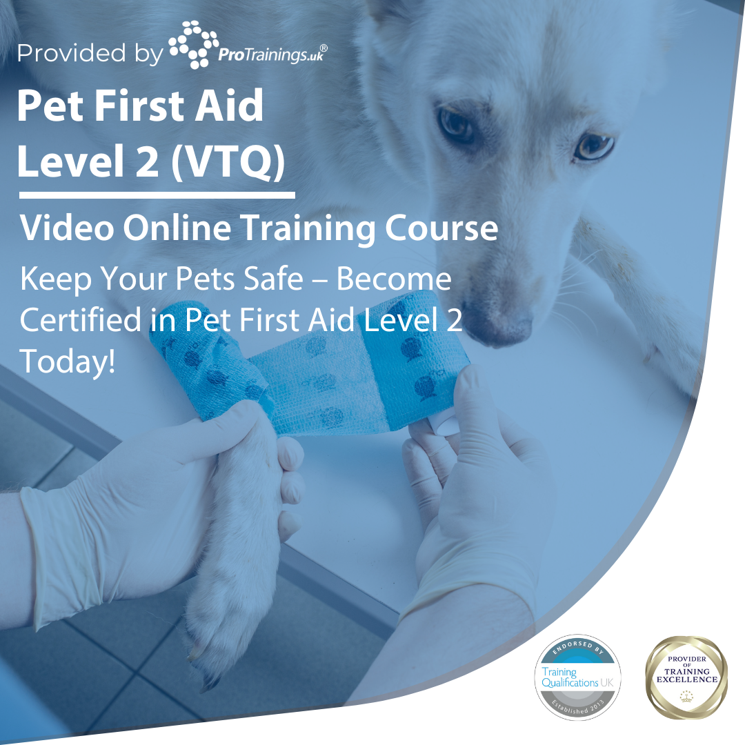 Pet First Aid Level 2 (VTQ)