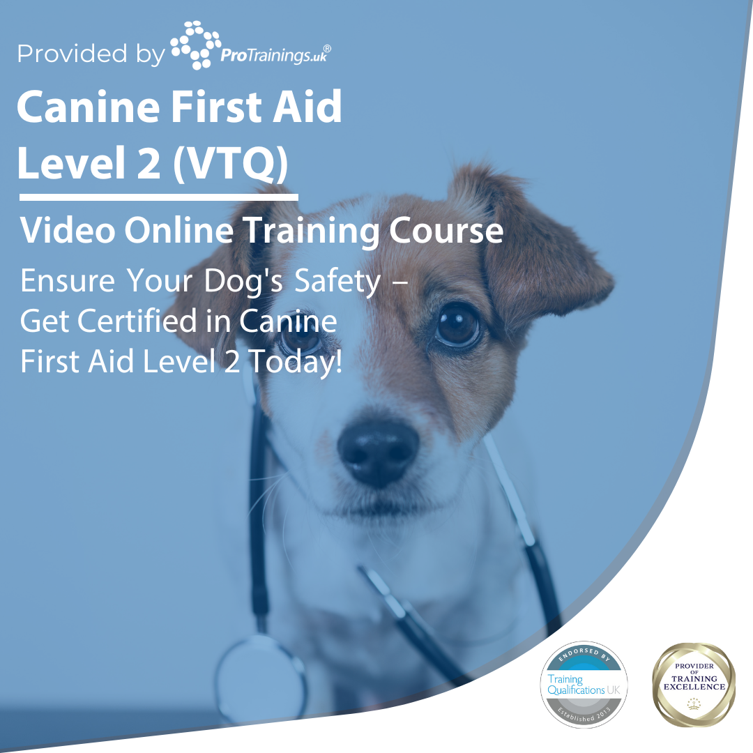 Canine First Aid Level 2 (VTQ)
