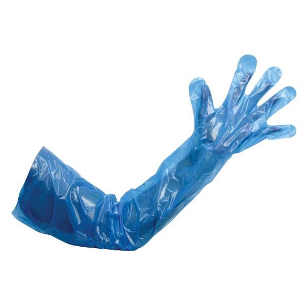 Blue Polythene Gauntlets | Disposable Gauntlets | JustGloves