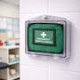 Anaphylaxis Response Cabinet | AAI Storage